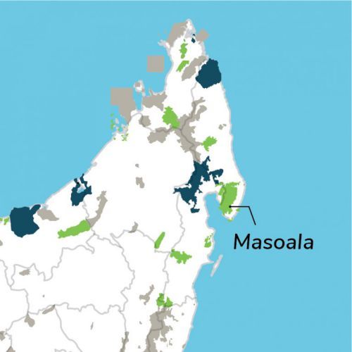 Masoala - Fondation pour les Aires Protégées et la Biodiversité de ...