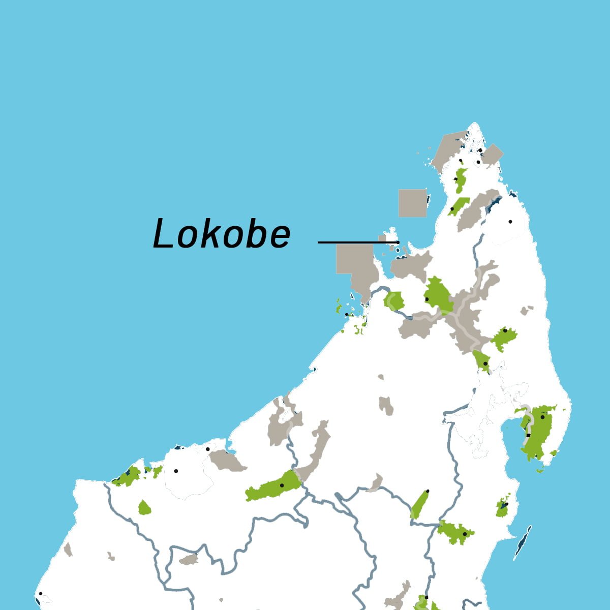 Lokobe - Fondation pour les Aires Protégées et la Biodiversité de ...