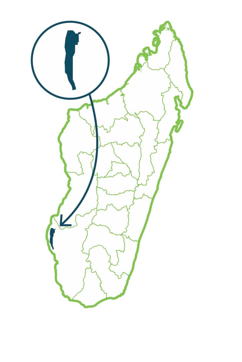 Mikea - Fondation pour les Aires Protégées et la Biodiversité de Madagascar