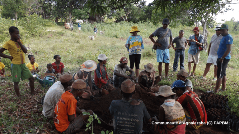 Protecting the forests of Madagascar through protected areas ...